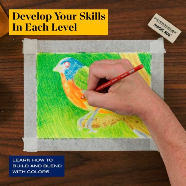 Technique Bird Drawing Art Set, Digital Lessons, Level 2 – All Good Toys